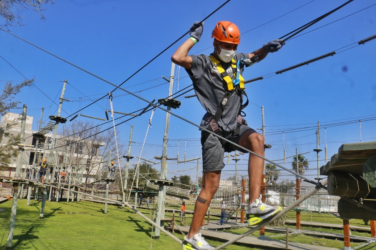 Euca Tigre – Viví Tigre