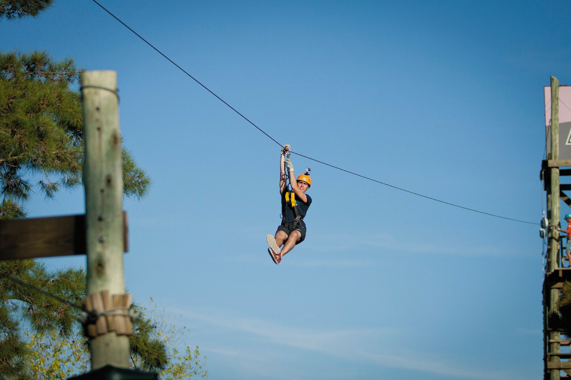 Euca Tigre – Viví Tigre