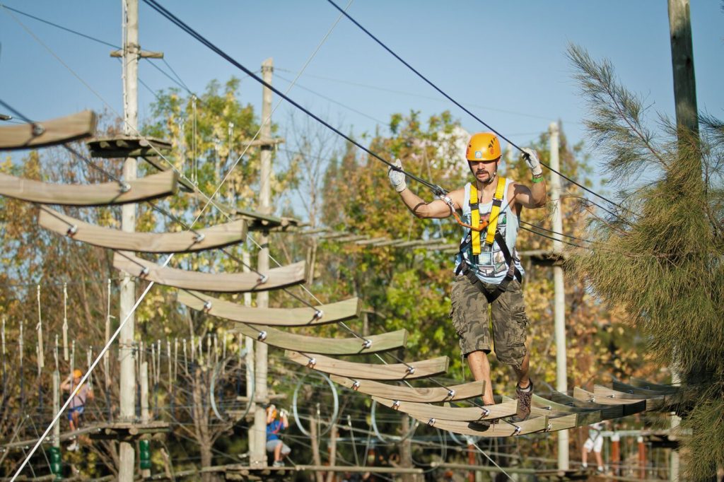 Euca Tigre – Viví Tigre