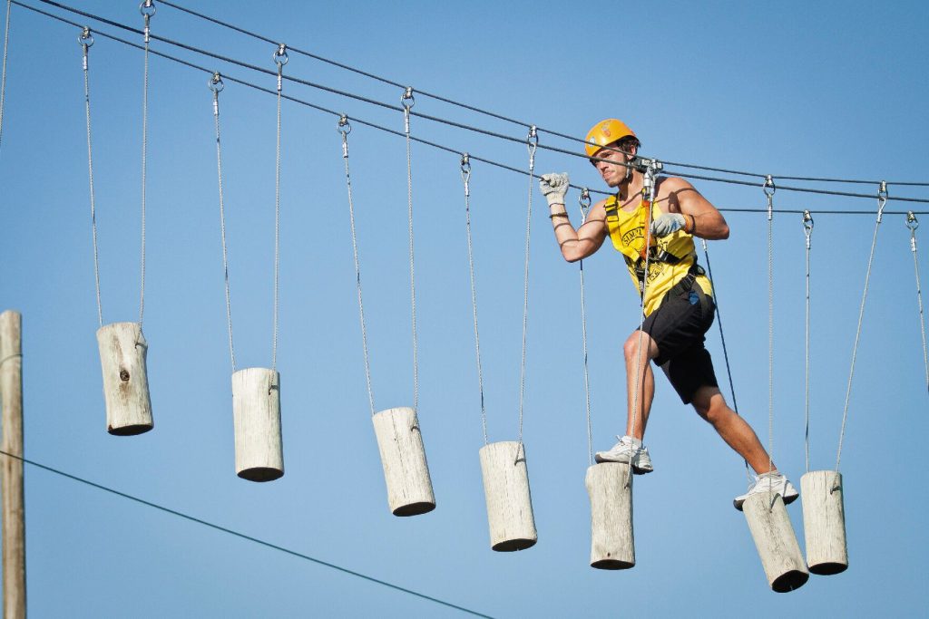 Euca Tigre – Viví Tigre