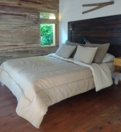 Timón Dorado – Viví Tigre